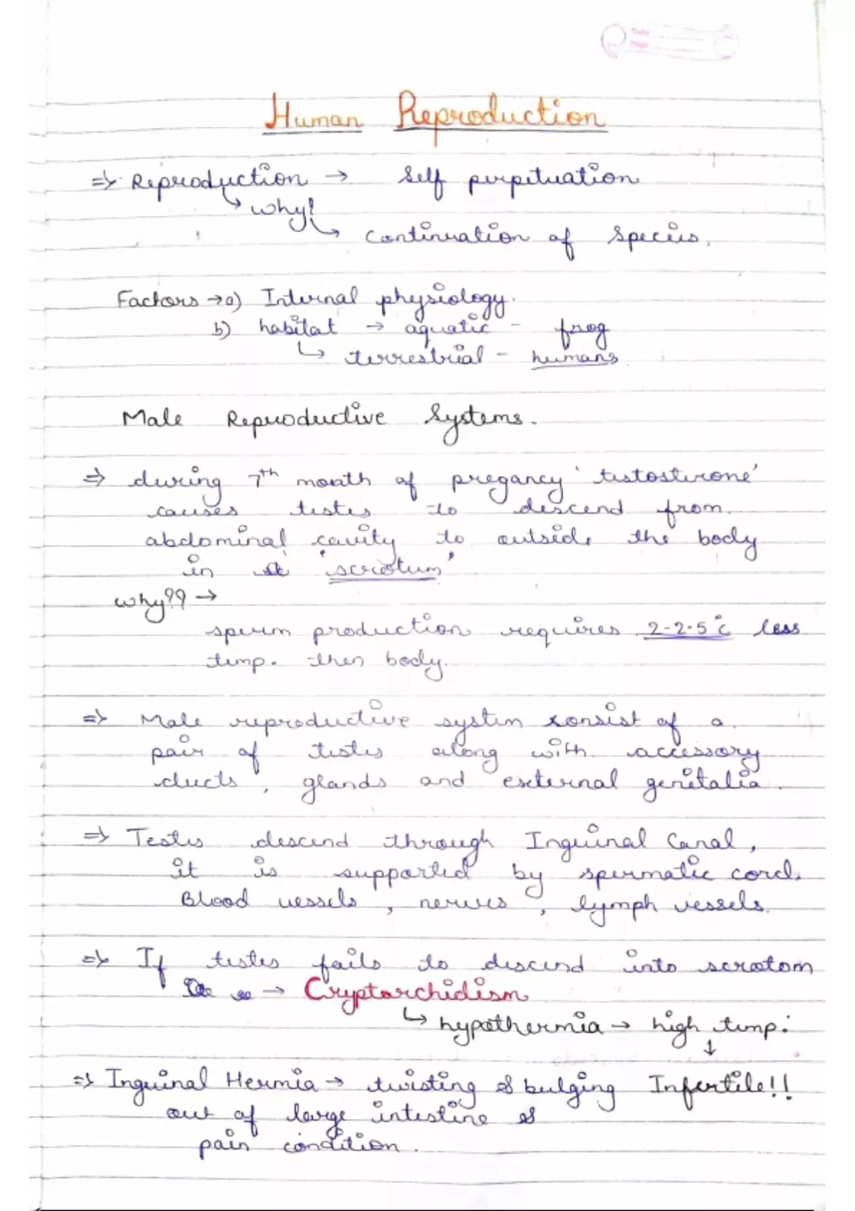 Summary best handwritten notes - 12th BOARD / NEET - Stuvia US