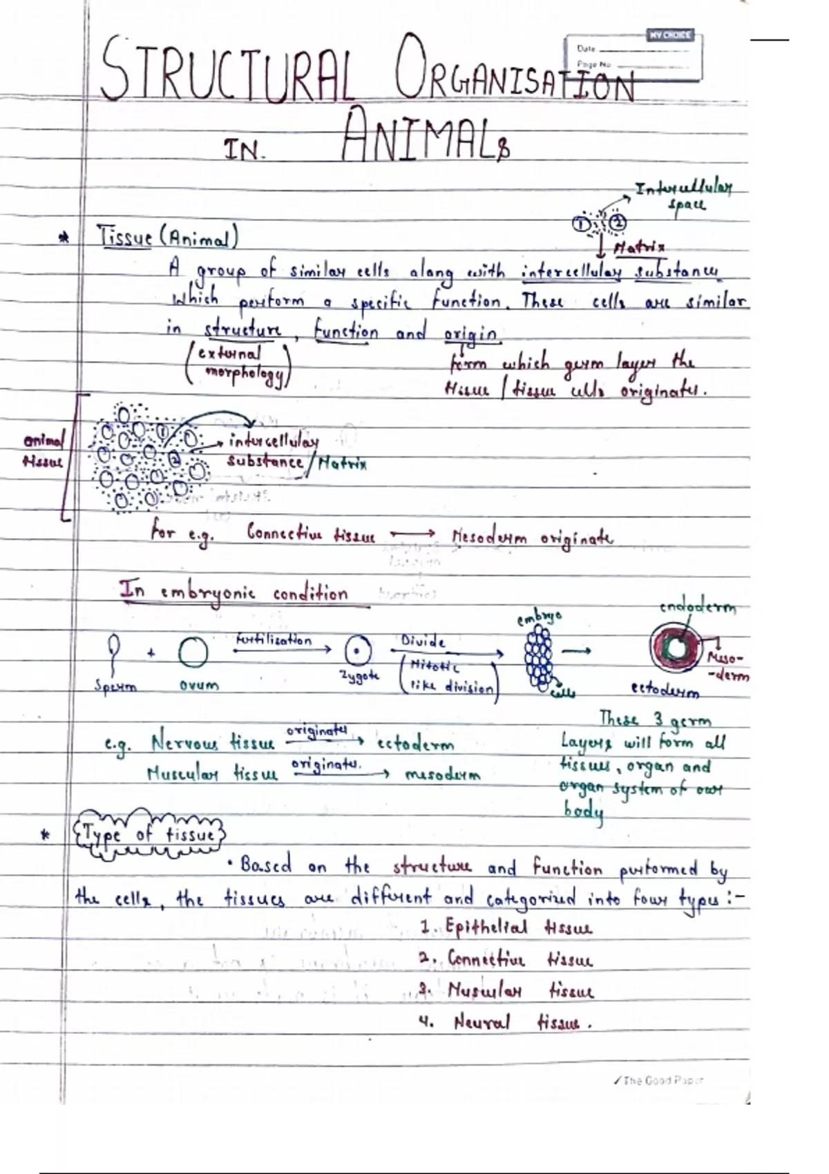 NEET Class 11 Structural organisation in animals - Biology - Stuvia US