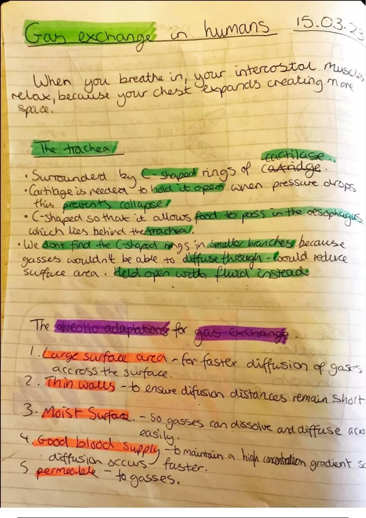 Biology gcse gas exchange - Biology - Stuvia UK