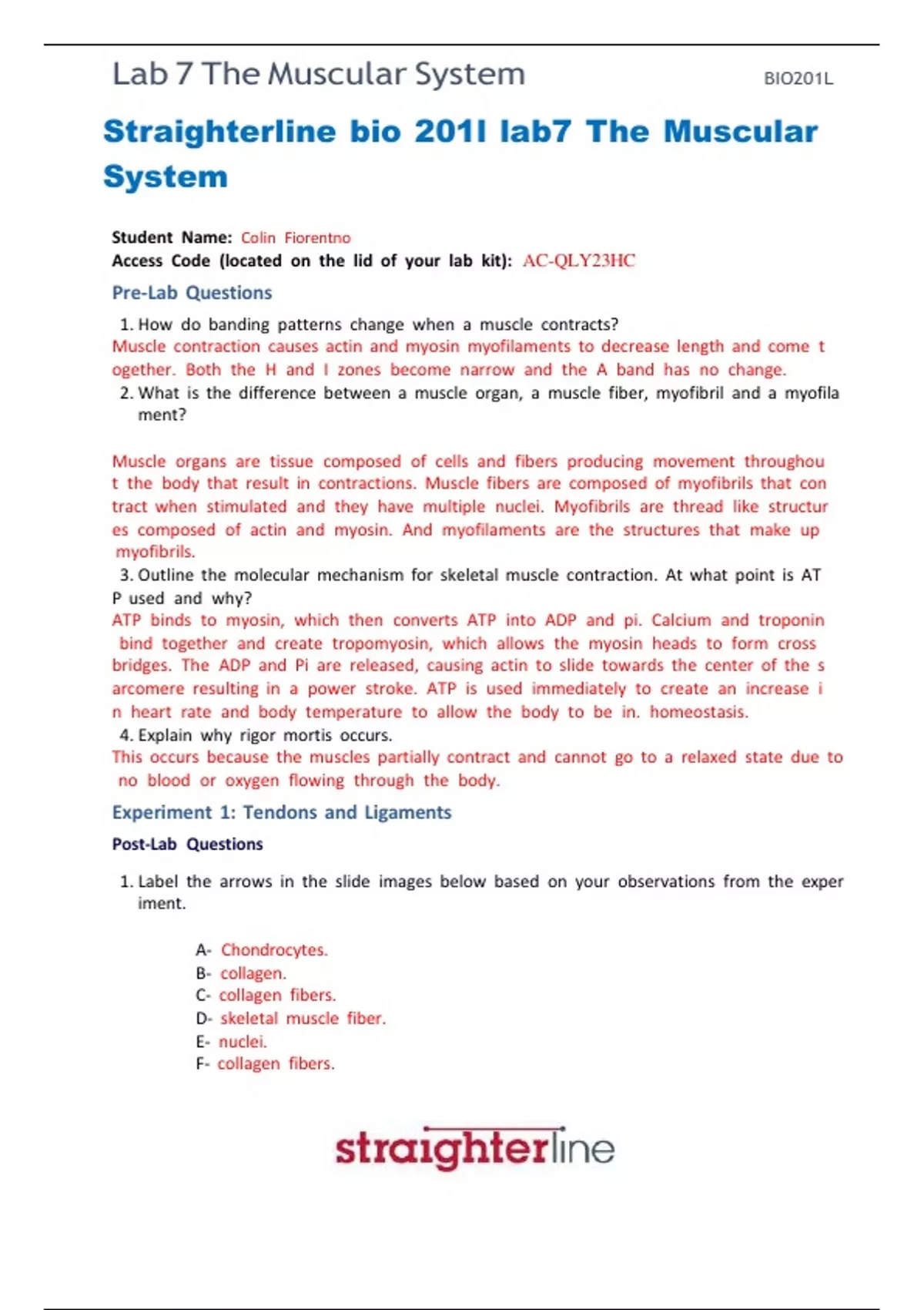 Straighterline bio 201l lab7 The Muscular System - Bio 201l - Stuvia US