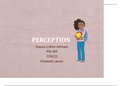 Perception powerpoint - PHI 105 (PHI105) - Stuvia US