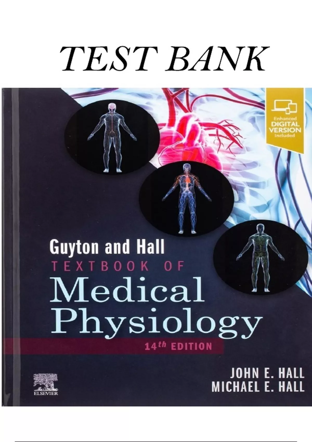 TEST BANK For Guyton and Hall Textbook of Medical Physiology 14th ...