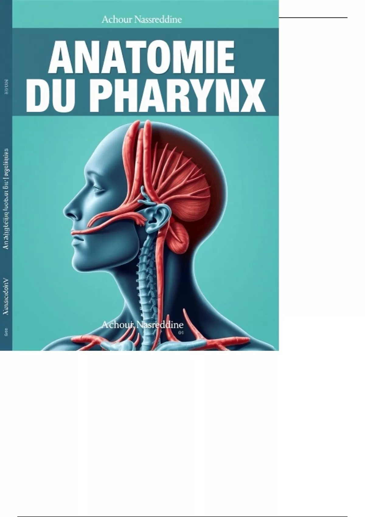 Anatomie du Pharynx (résumé) - Anatomie du pharynx - Stuvia FR