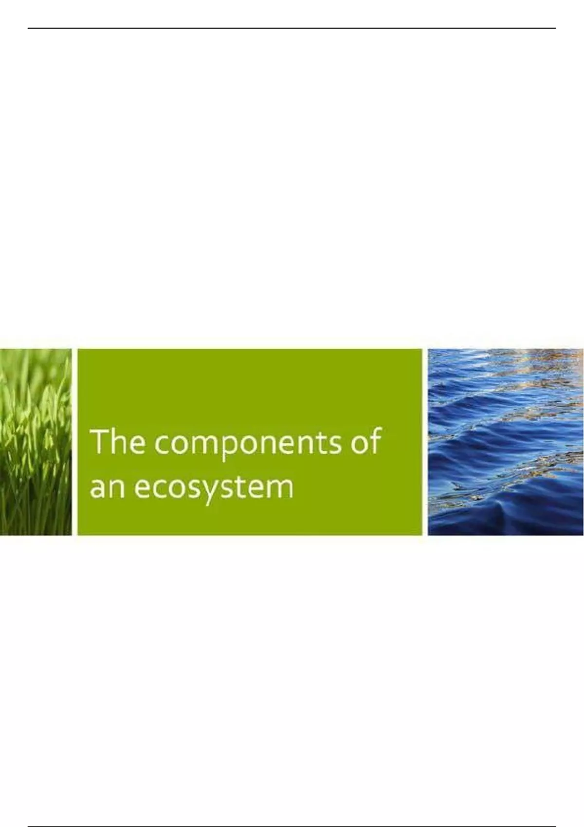 Presentation on Components of ecosystem - English - Stuvia US