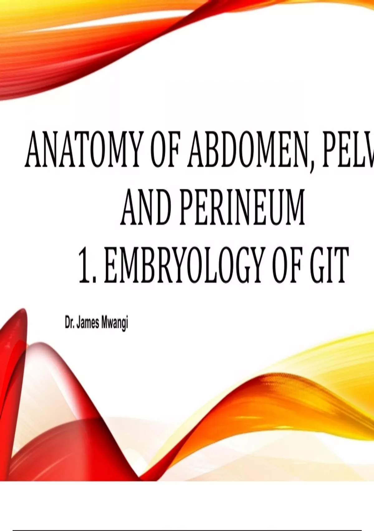 ANATOMY OF ABDOMEN, PELVIS AND PERINEUM - SUMMARY NOTES - Human anatomy ...
