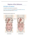 Summary Regions of the Abdomen - Anatomy - Stuvia US