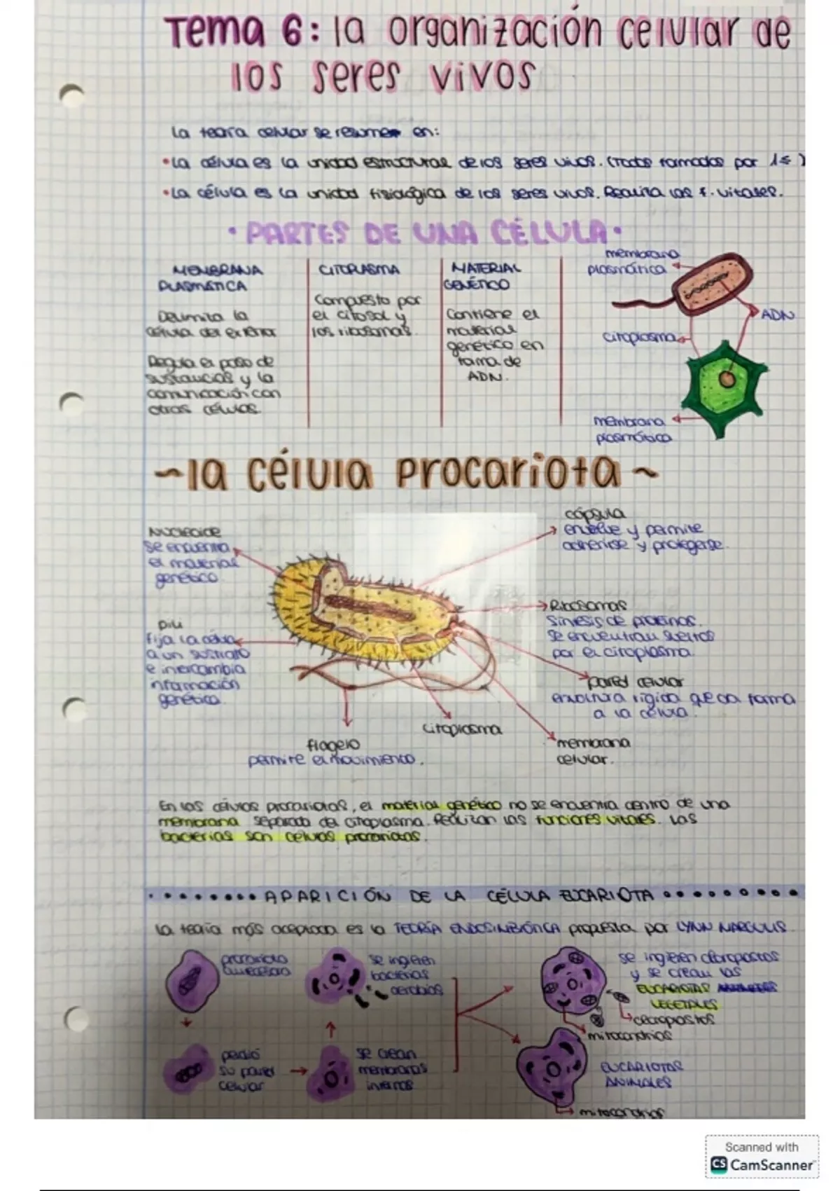 Sumario la organización celular de los seres vivos - Biology and ...