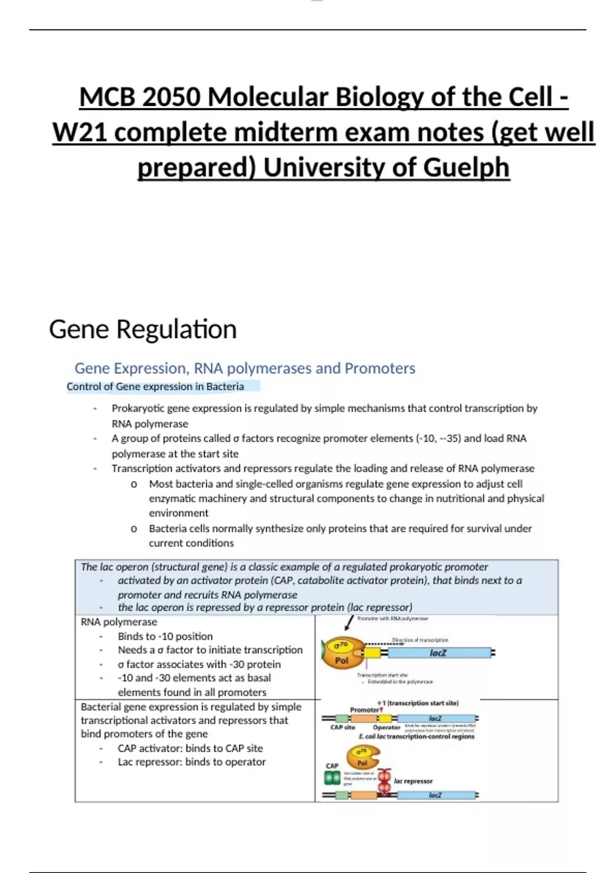 MCB 2050 Molecular Biology of the Cell - W21 complete midterm exam ...