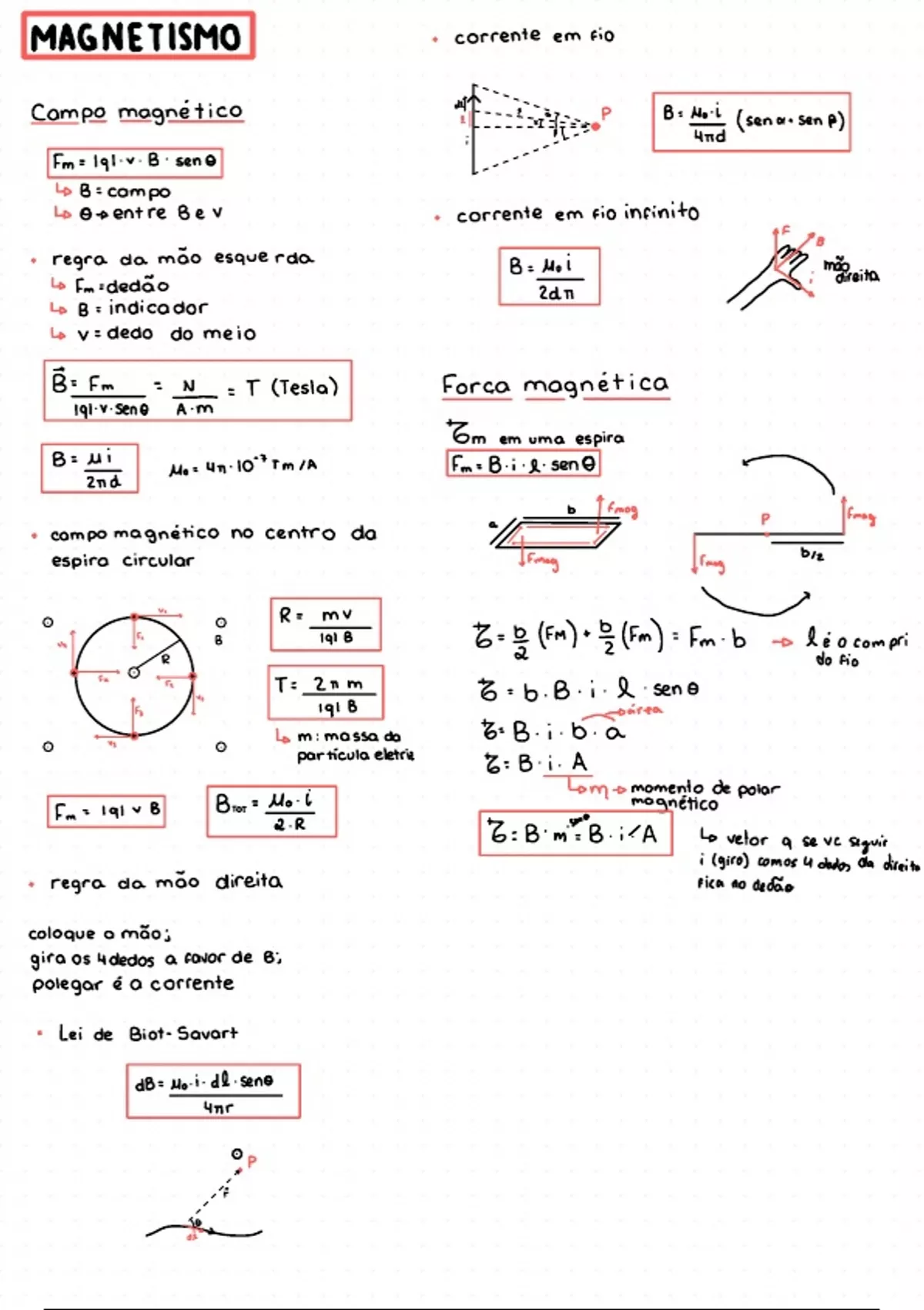 Summary Magnetismo Cheat Sheet - Physics - Stuvia US