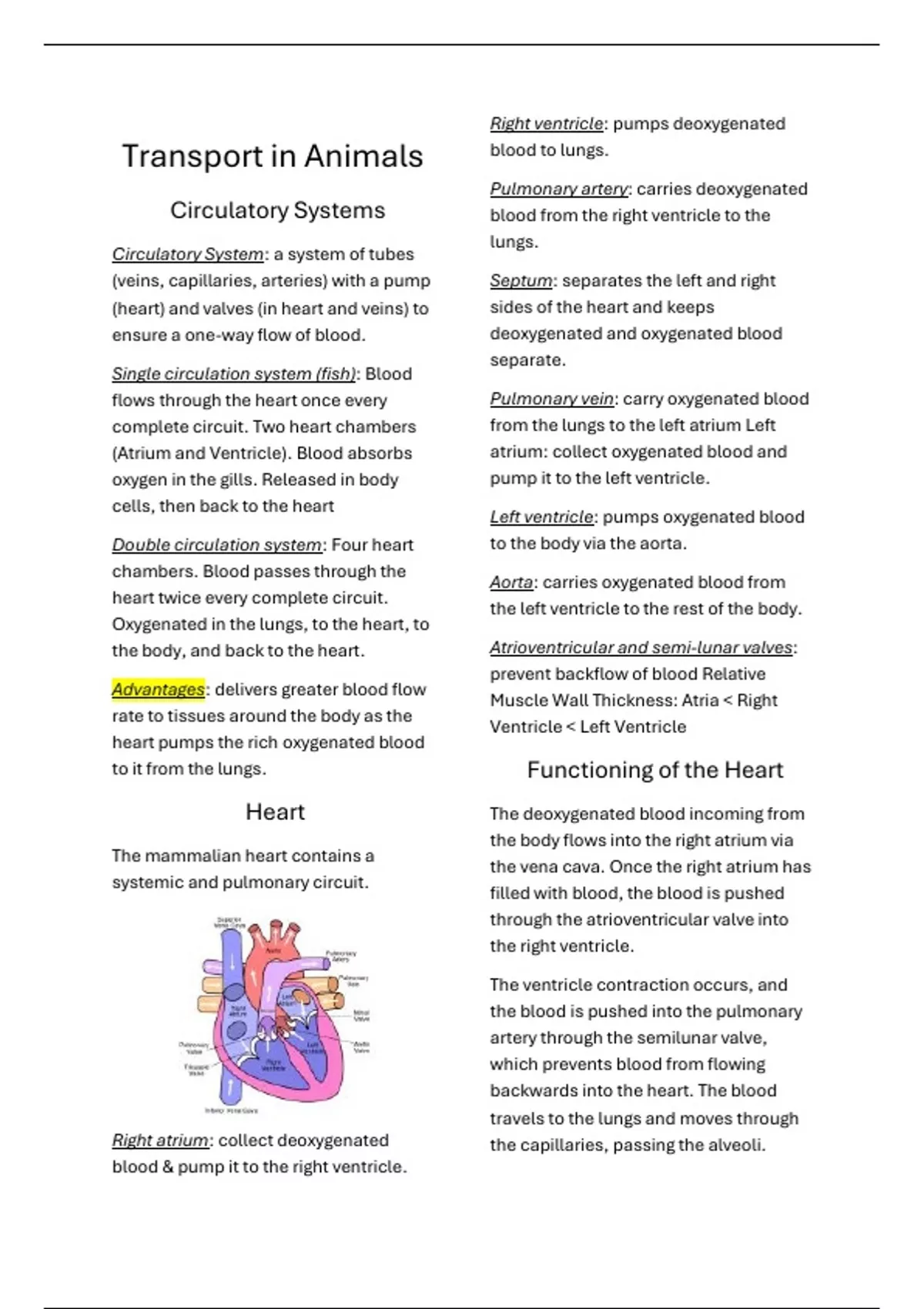 GCSE Biology Study Notes: The Circulatory System - Biology - Stuvia UK
