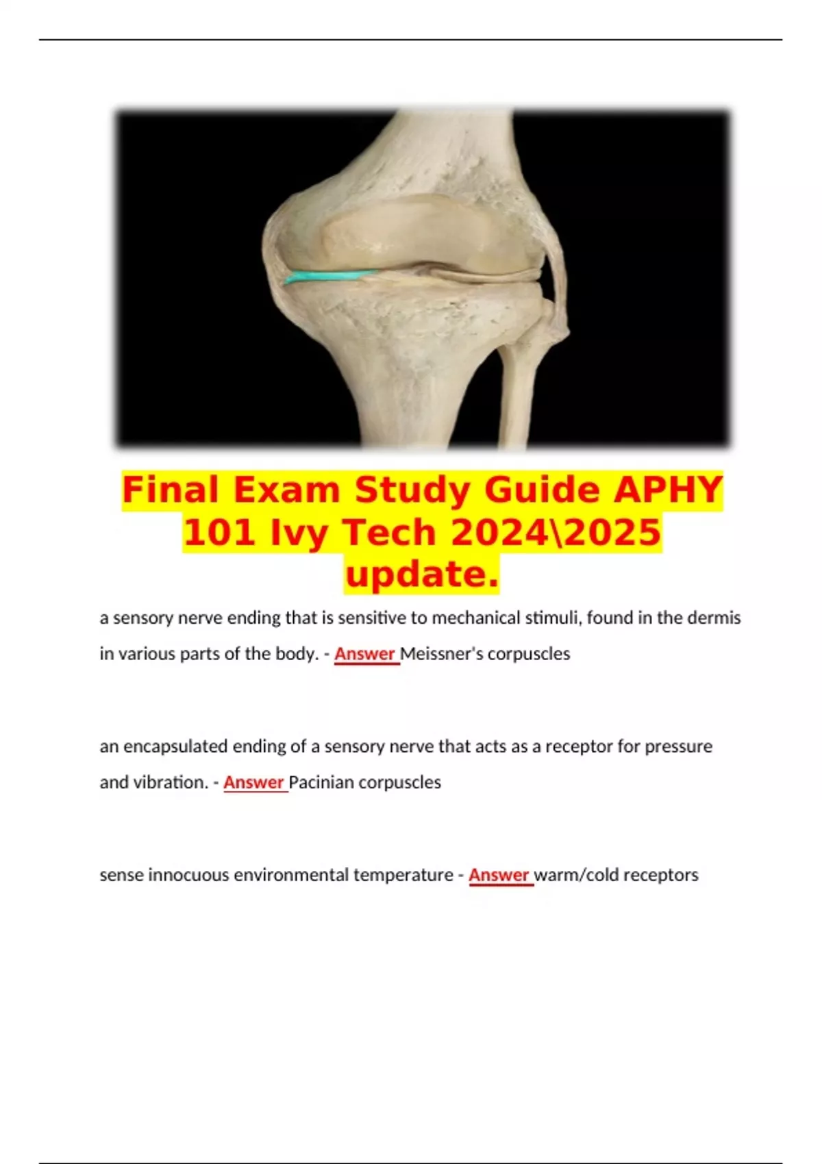 Final Exam Study Guide APHY 101 Ivy Tech update. a sensory nerve ending ...
