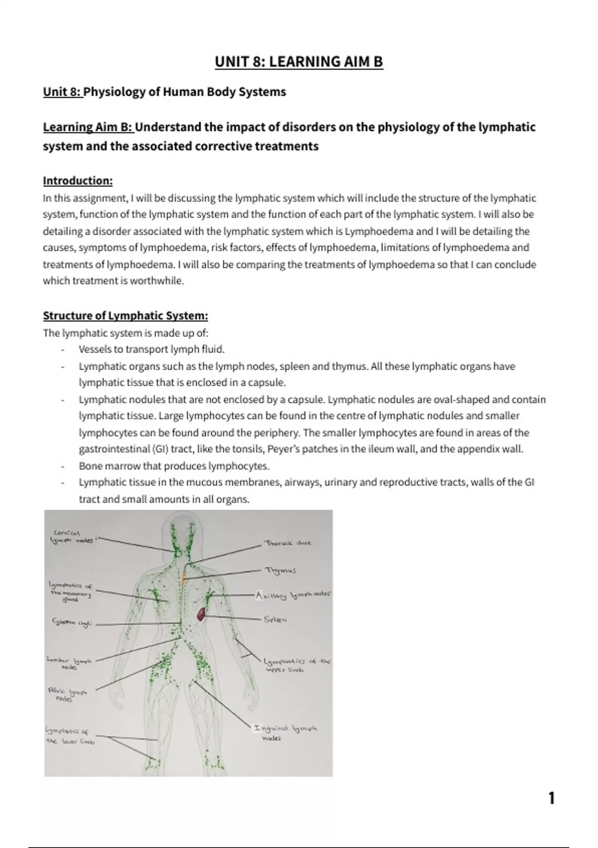 Btec Applied Science Unit 8B Assignment - Lymphatic System - Unit 8 ...