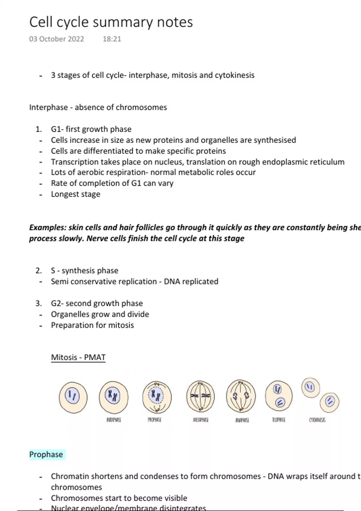 Summary Cell cycle Year 1 AQA A level biology - Unit 2 - Cells - Stuvia UK