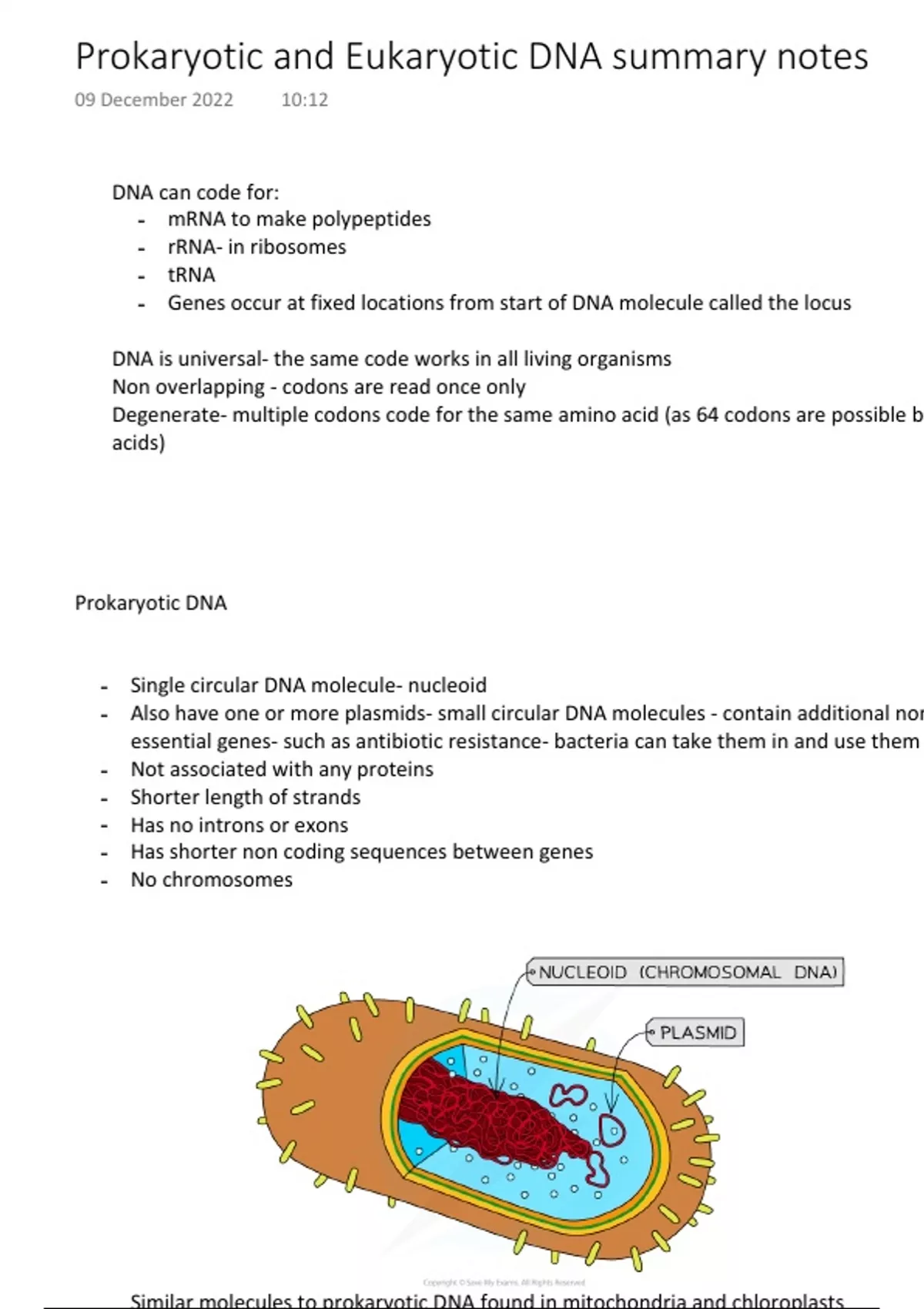 Summary Prokaryotic and Eukaryotic DNA - Unit 4 - Genetic information ...