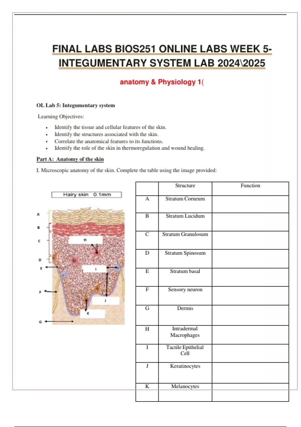 FINAL LABS BIOS251 ONLINE LABS WEEK 5-INTEGUMENTARY SYSTEM LAB ...