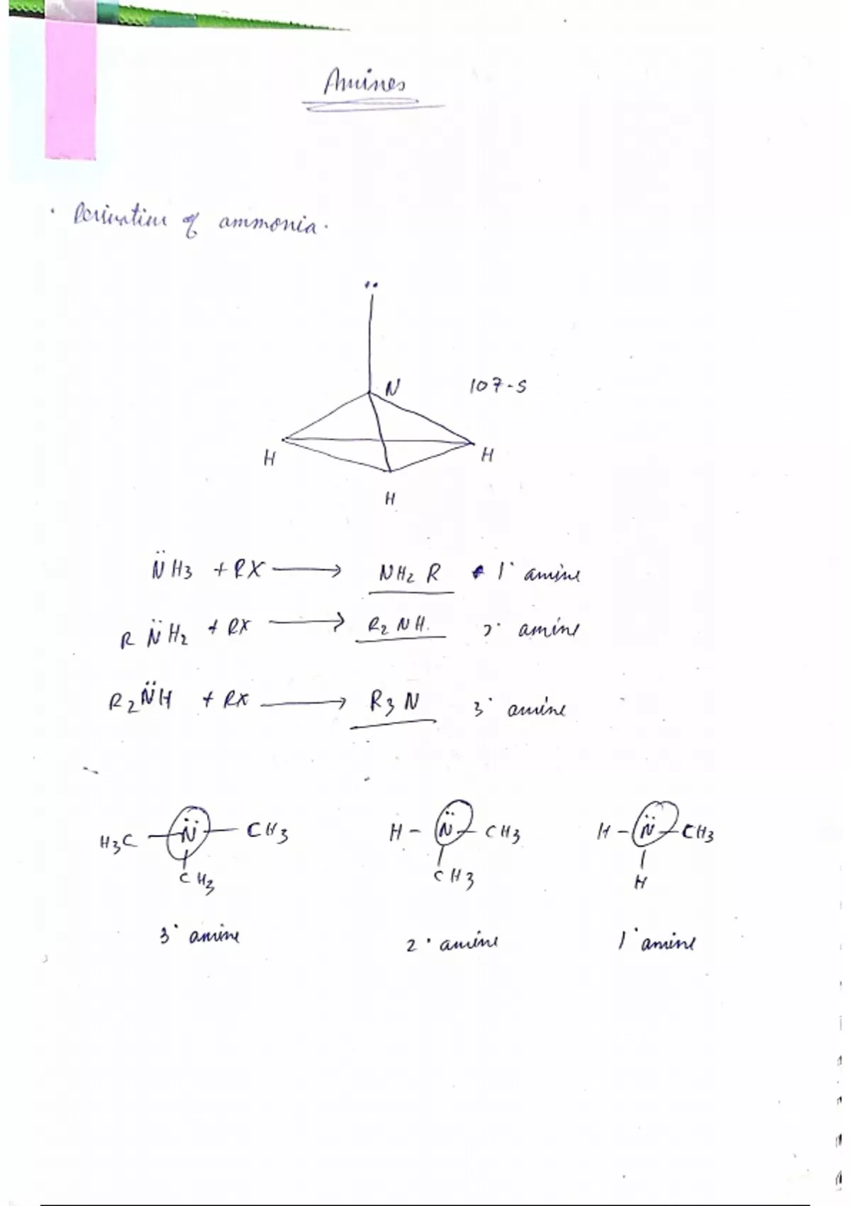 Mastering Amines: Comprehensive Study Notes for Quick and Clear ...