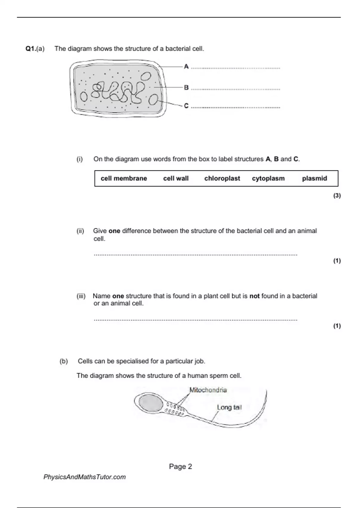 "Comprehensive Cell Structure Assessment and Marking Guide" - Biology ...