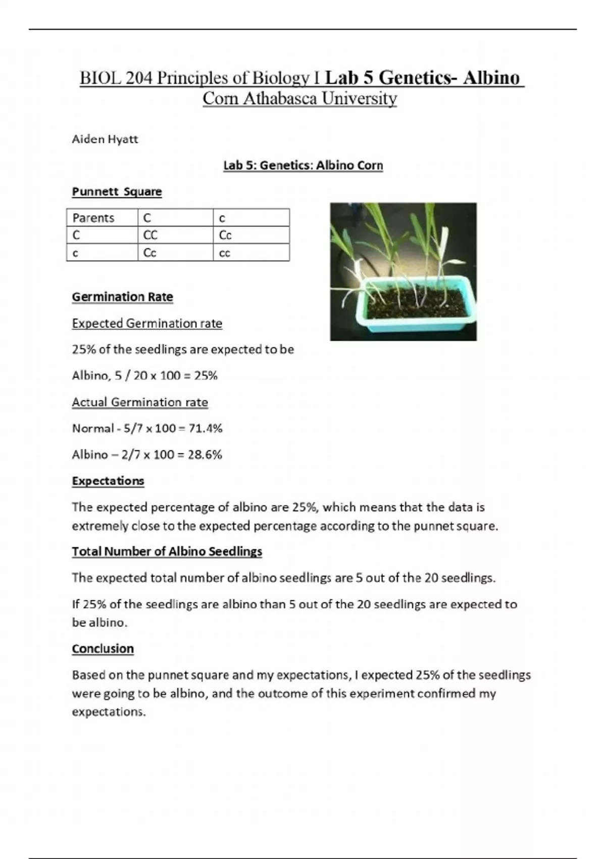 BIOL 204 Principles of Biology I Lab 5 Genetics- Albino Corn Athabasca University - BIOL 204 ...