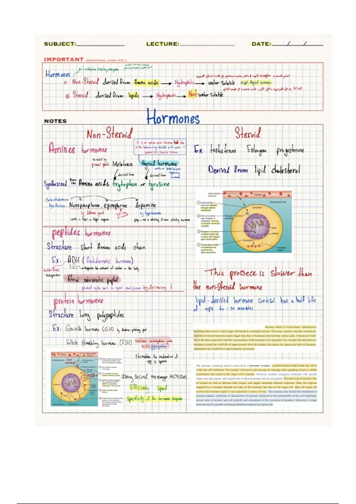 Summary omprehensive Overview of the Endocrine System: Structure ...