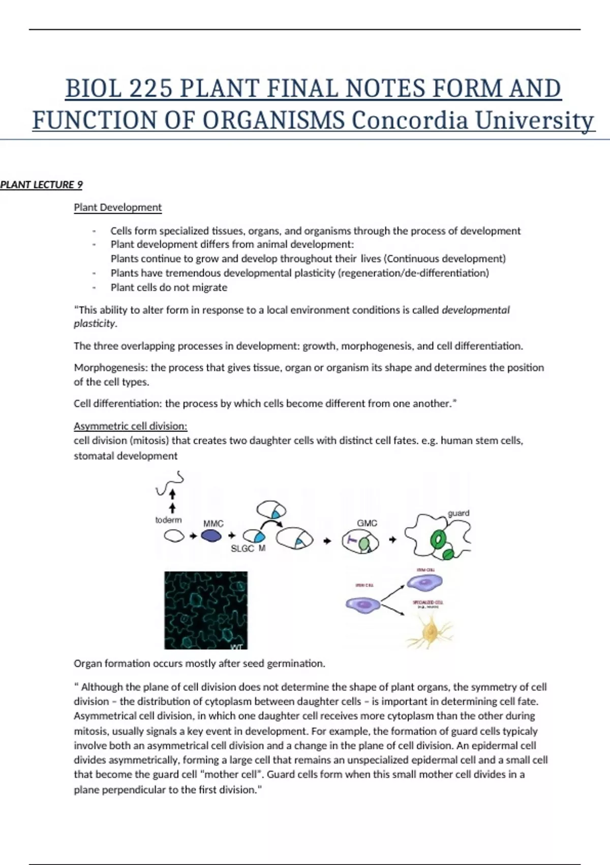 BIOL 225 PLANT FINAL NOTES FORM AND FUNCTION OF ORGANISMS Concordia ...