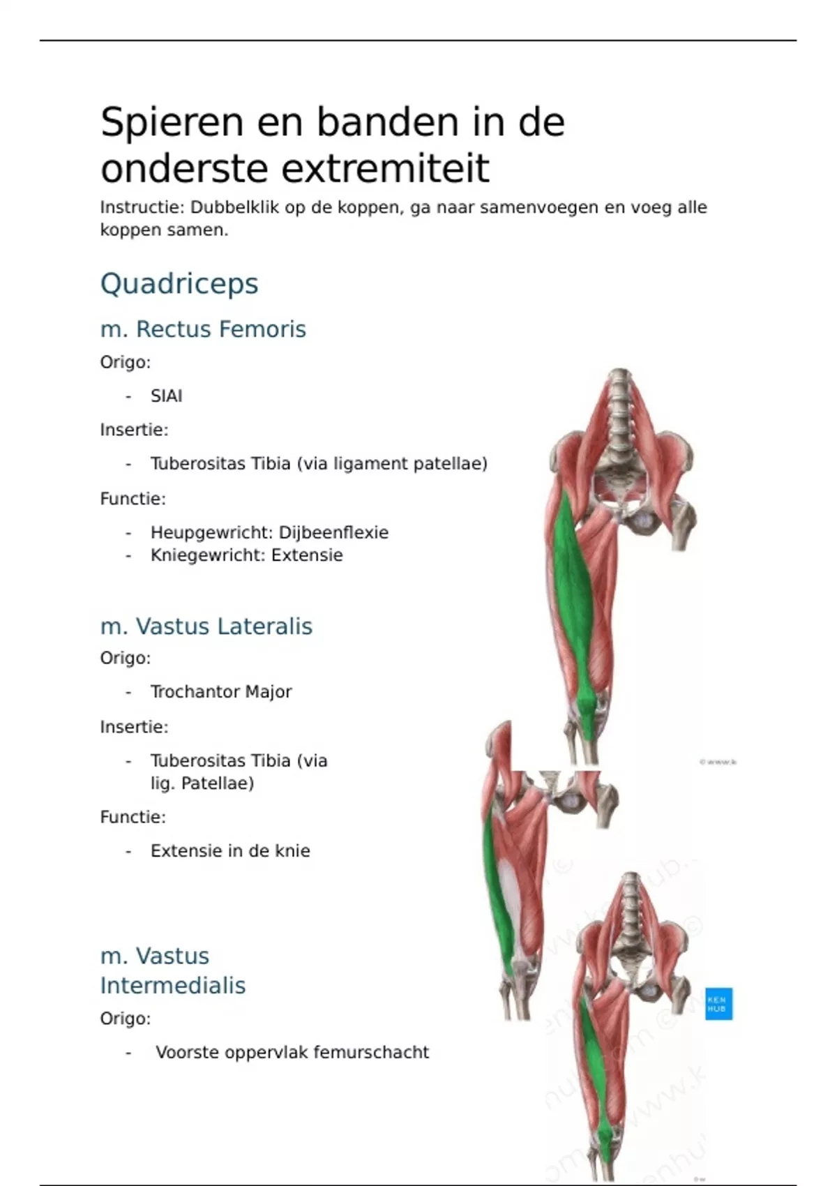 Samenvatting Anatomie van de Onderste Extremiteit - Anatomie - Stuvia NL