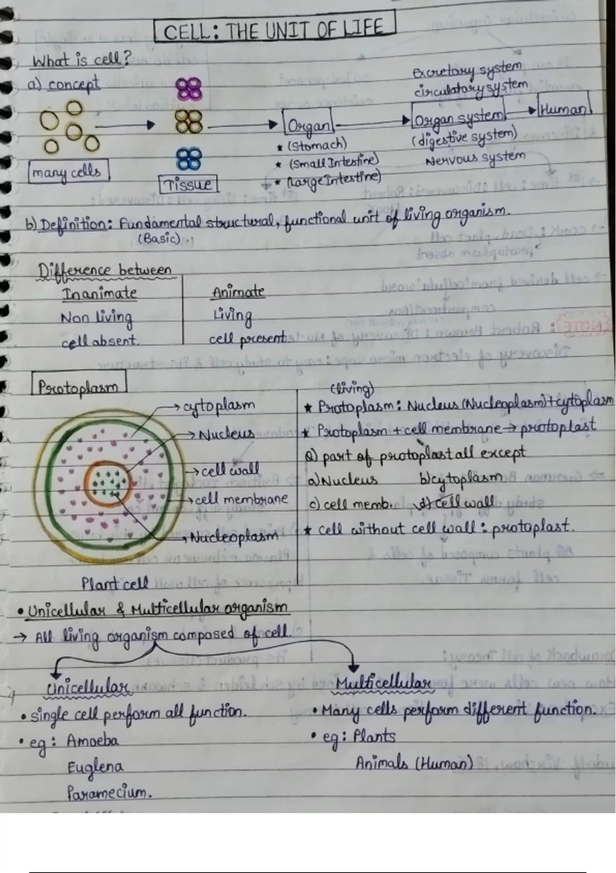 Class 11th Cell: The unit of life Best Handwritten notes - NEET - Stuvia US