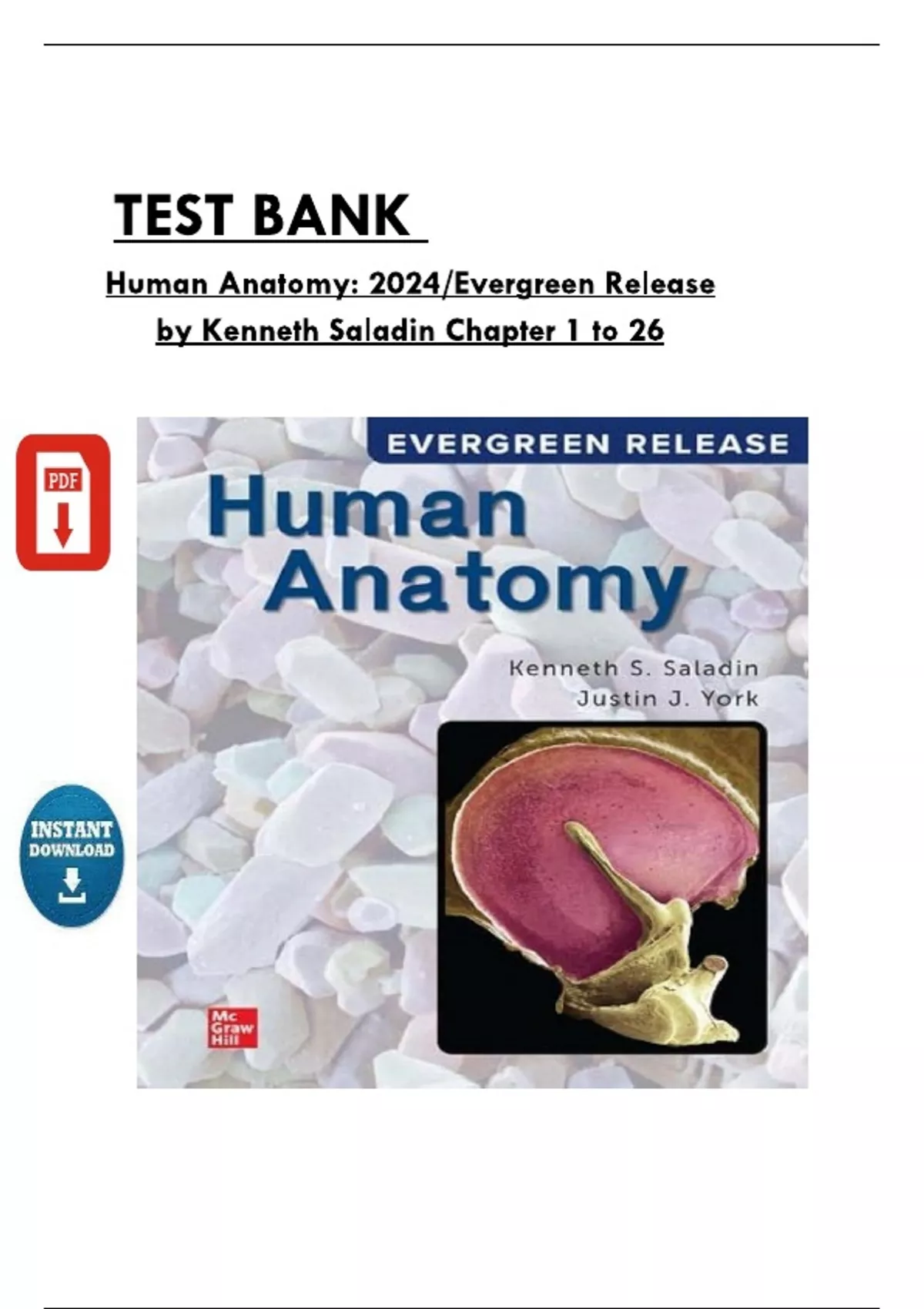Test Bank for Human Anatomy: 2024/Evergreen Release: Saladin, All ...