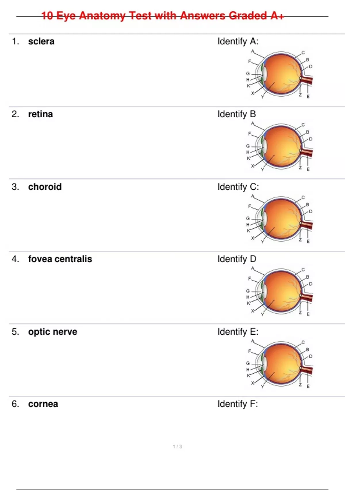 10 Eye Anatomy Test with Answers Graded A+ - 10 Eye Anatomy - Stuvia US