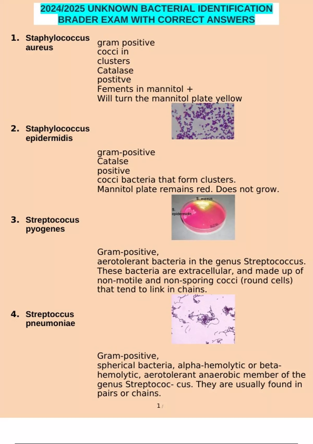 2024/2025 UNKNOWN BACTERIAL IDENTIFICATION BRADER EXAM WITH CORRECT ...
