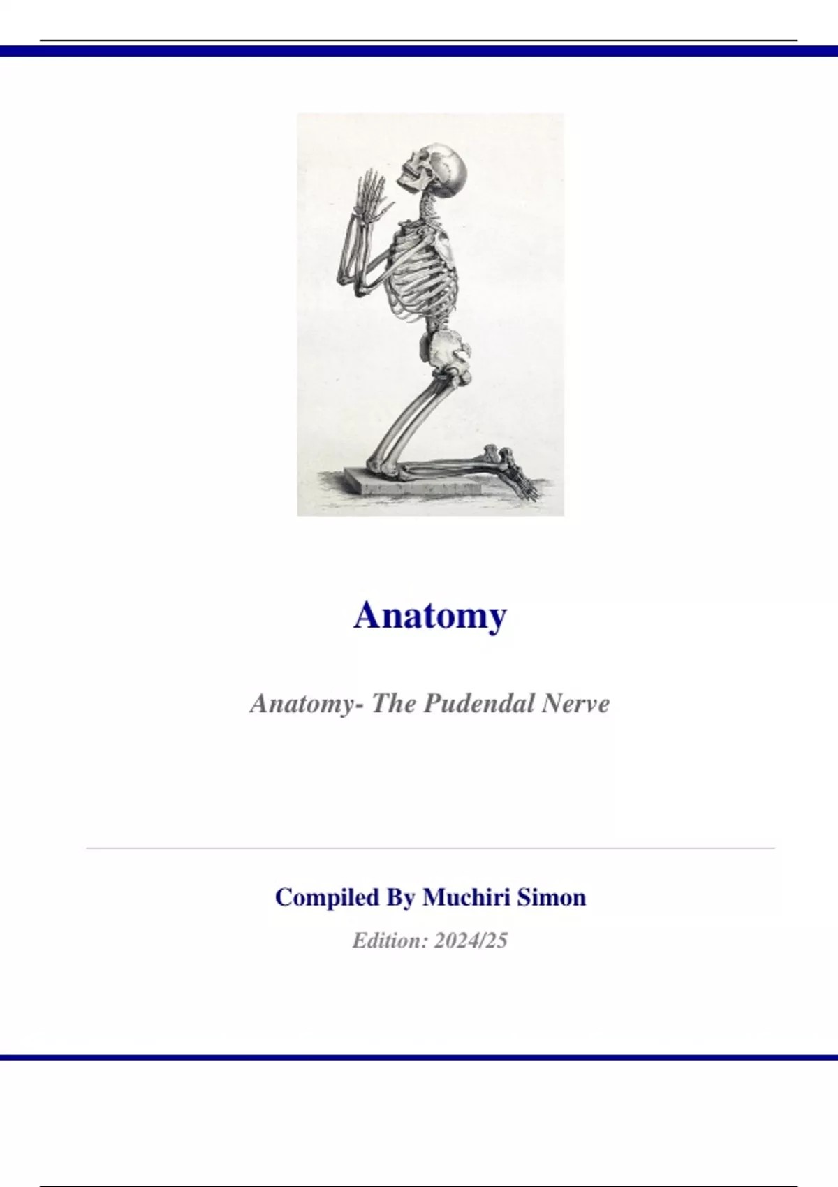 Anatomy-ANATOMY- The Pudendal Nerve - Anatomy - Stuvia US