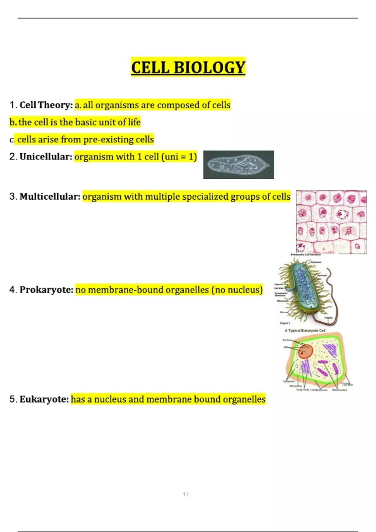 Cell Biology (Latest 2024/ 2025 Update) Questions and Verified Answers ...