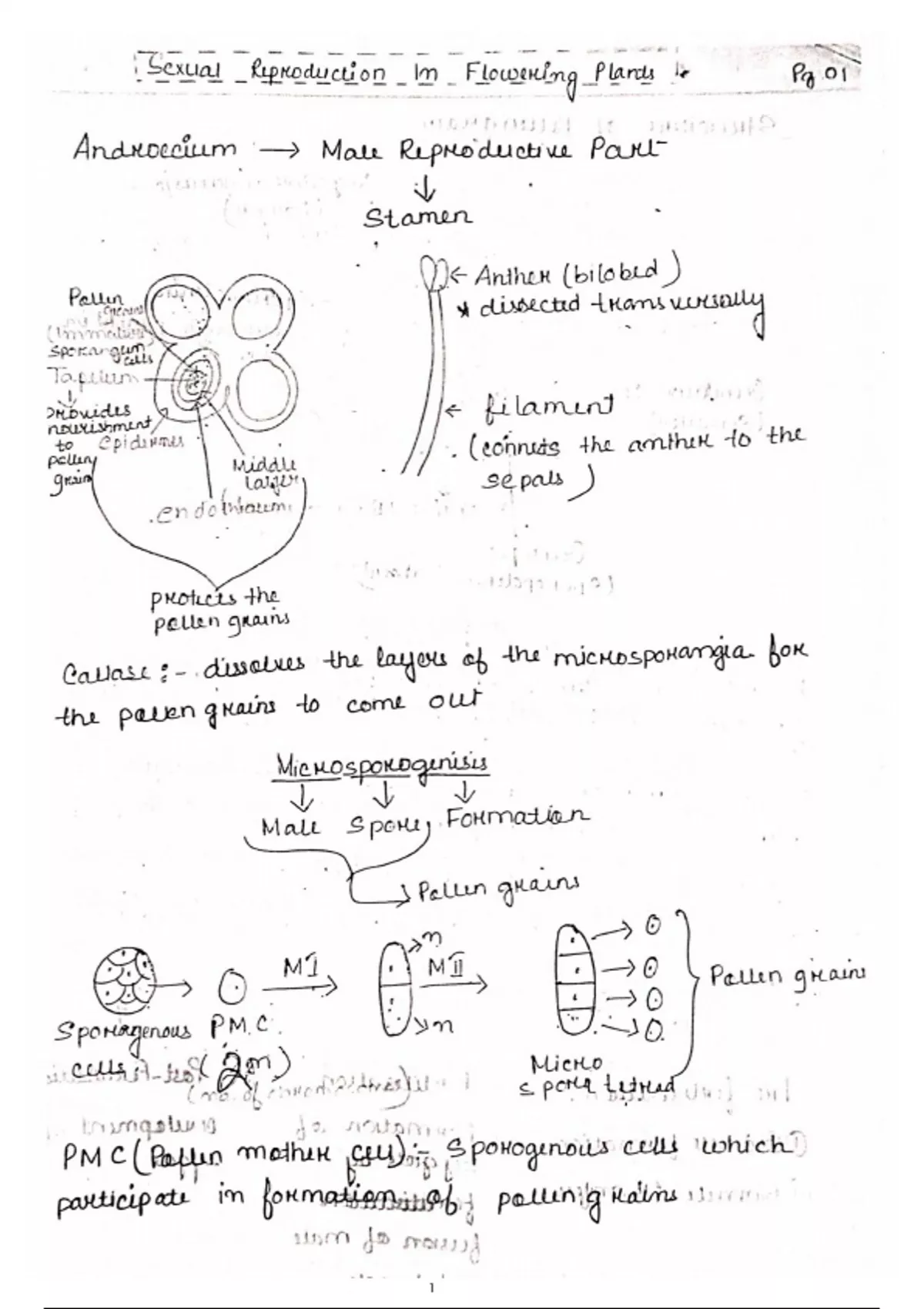 Class notes Class 12 Biology notes CBSE CBSE Class XII Science (Biology ...