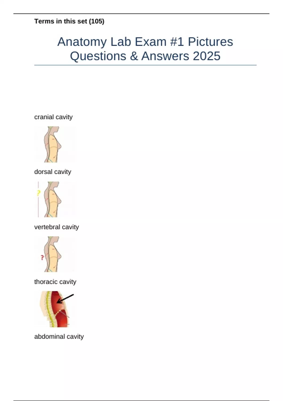 Anatomy Lab Exam -1 Pictures Questions & Answers 2025 - Lab - Stuvia US