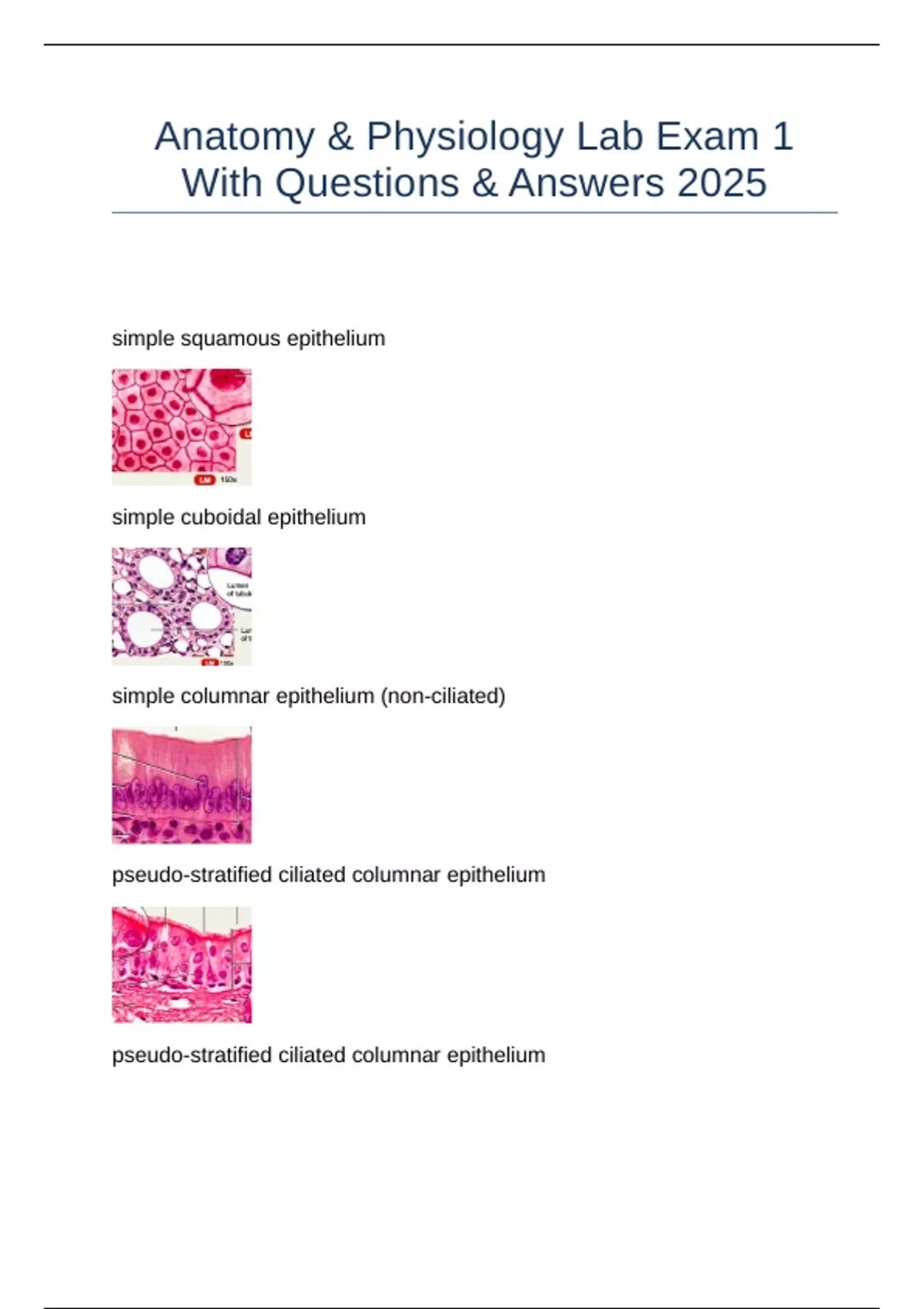 Anatomy & Physiology Lab Exam 1 With Questions & Answers 2025 - Lab ...