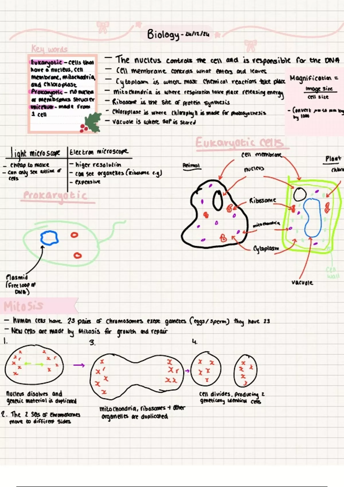 biology cells and mitosis gcse - Science - Stuvia UK