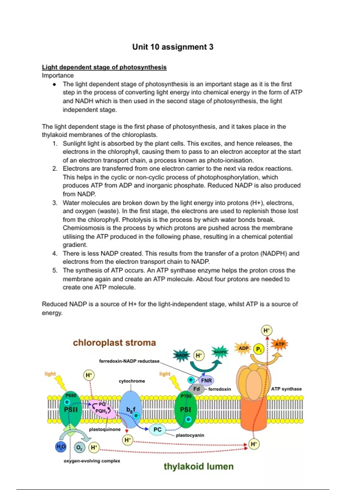 Btec Level 3 Extended Diploma In Applied Science 2016 Rqf Unit 10 Biological Molecules And