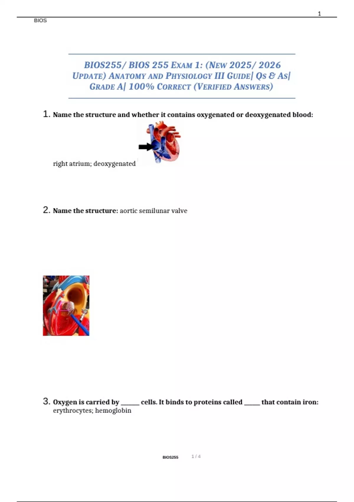 BIOS255/ BIOS 255 EXAM 1: (NEW 2025/ 2026 UPDATE) ANATOMY AND ...