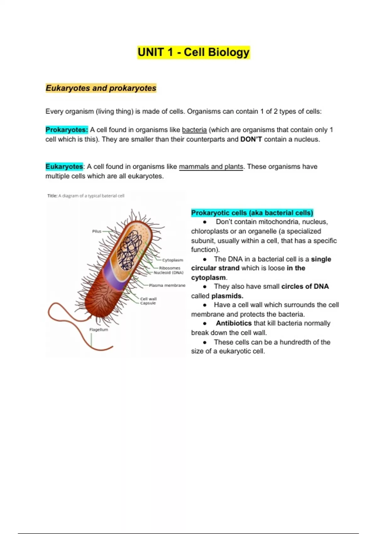 AQA GCSE Biology Unit 1 - 4 (Exam Paper 1) FULL SUMMARY Foundation Tier ...