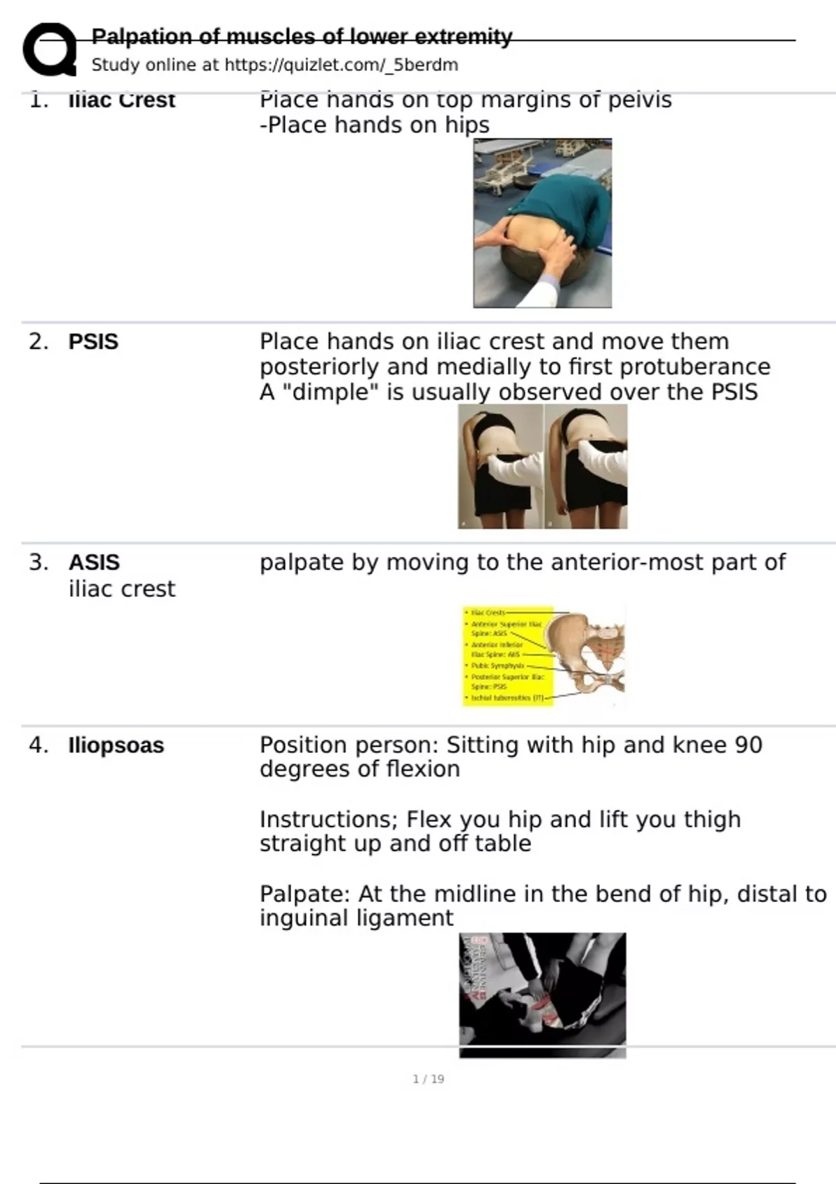 Palpation of muscles of lower extremity - LOWERN - Stuvia US