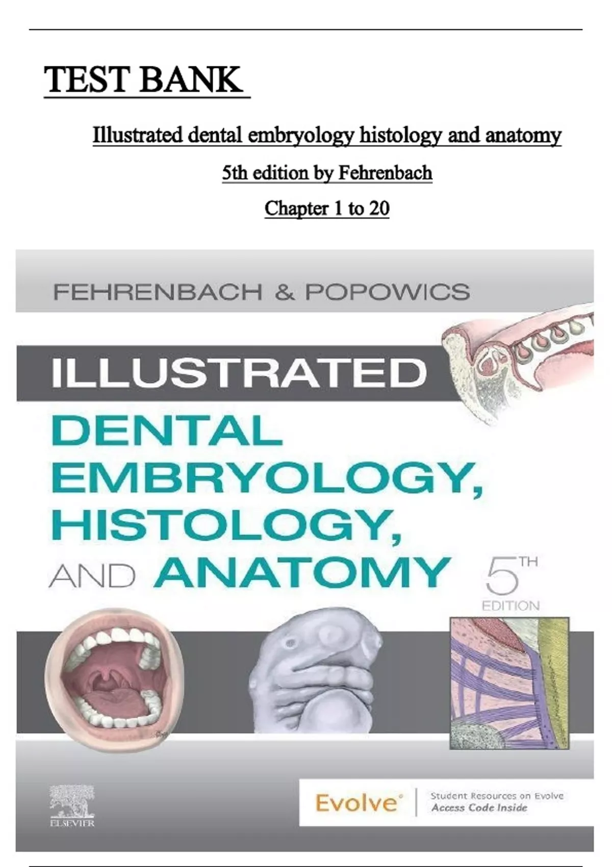 Test Bank For Illustrated Dental Embryology Histology and Anatomy 5th ...