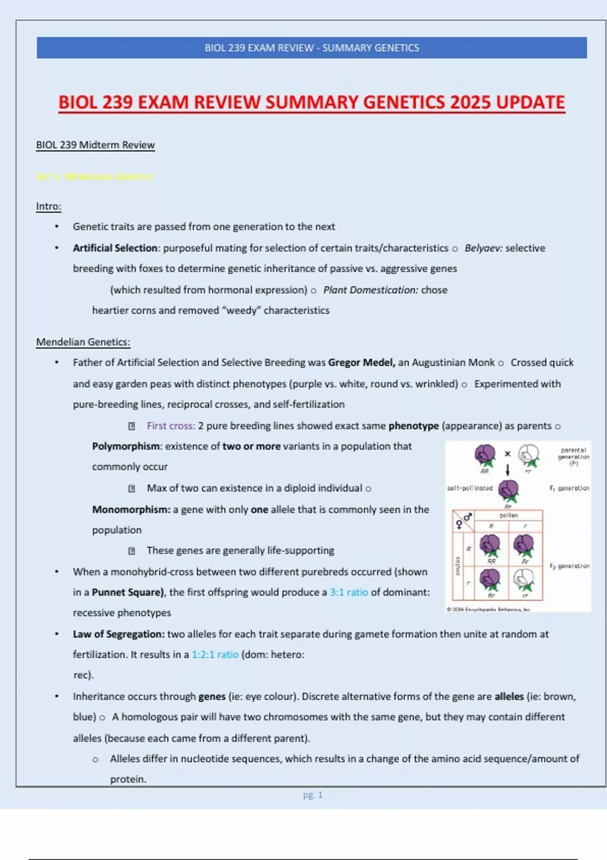 BIOL 239 Exam Review SUMMARY GENETICS 2025 UPDATE - Biol 239 - Stuvia US