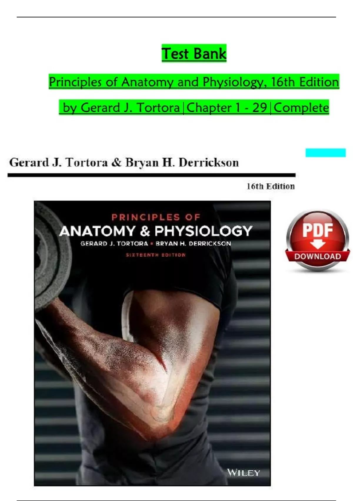 Test Bank for Principles of Anatomy and Physiology 16th Edition by ...