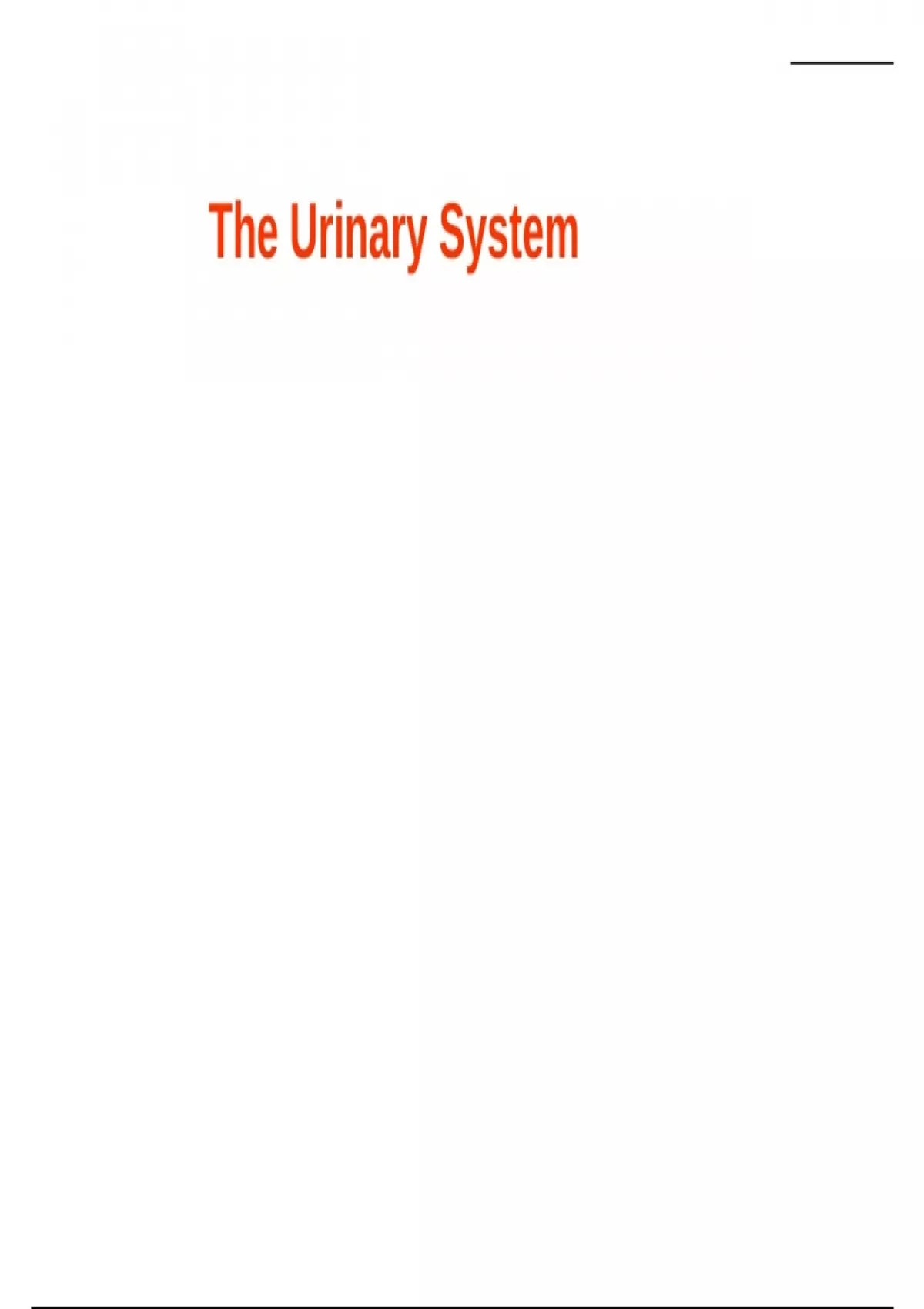 The urinary system notes Anatomy and physiology diploma - Urinary ...
