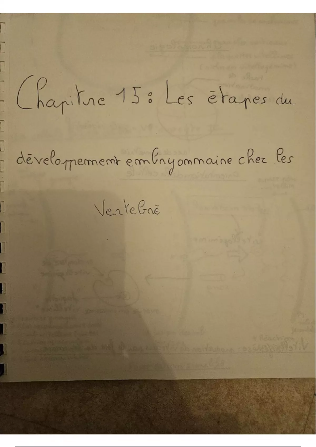 Le développement embryonnaire chez les vertébrés, segmentation ...