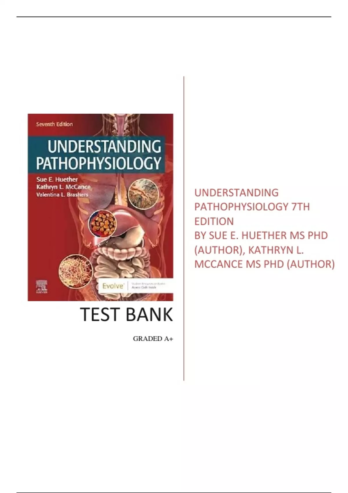 Test Bank For Understanding Pathophysiology 7th Edition by Sue E ...