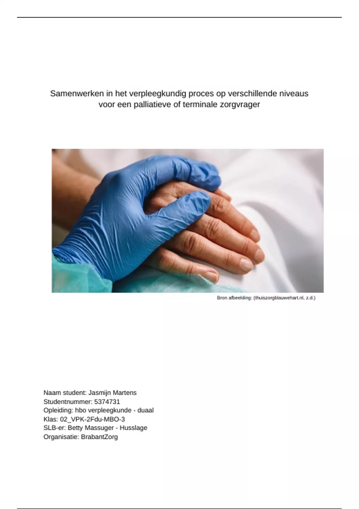 Samenwerken in het verpleegkundig proces op verschillende niveaus voor ...