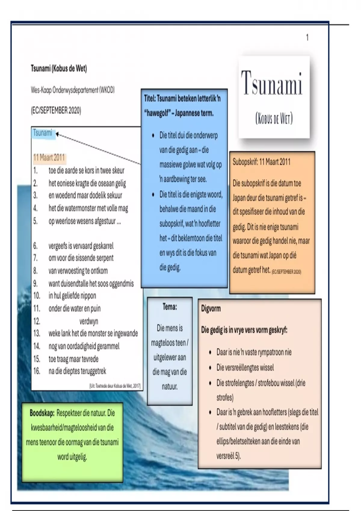 Summary Tsunami (Kobus de Wet)- a Colurful detailed detailed analysis ...