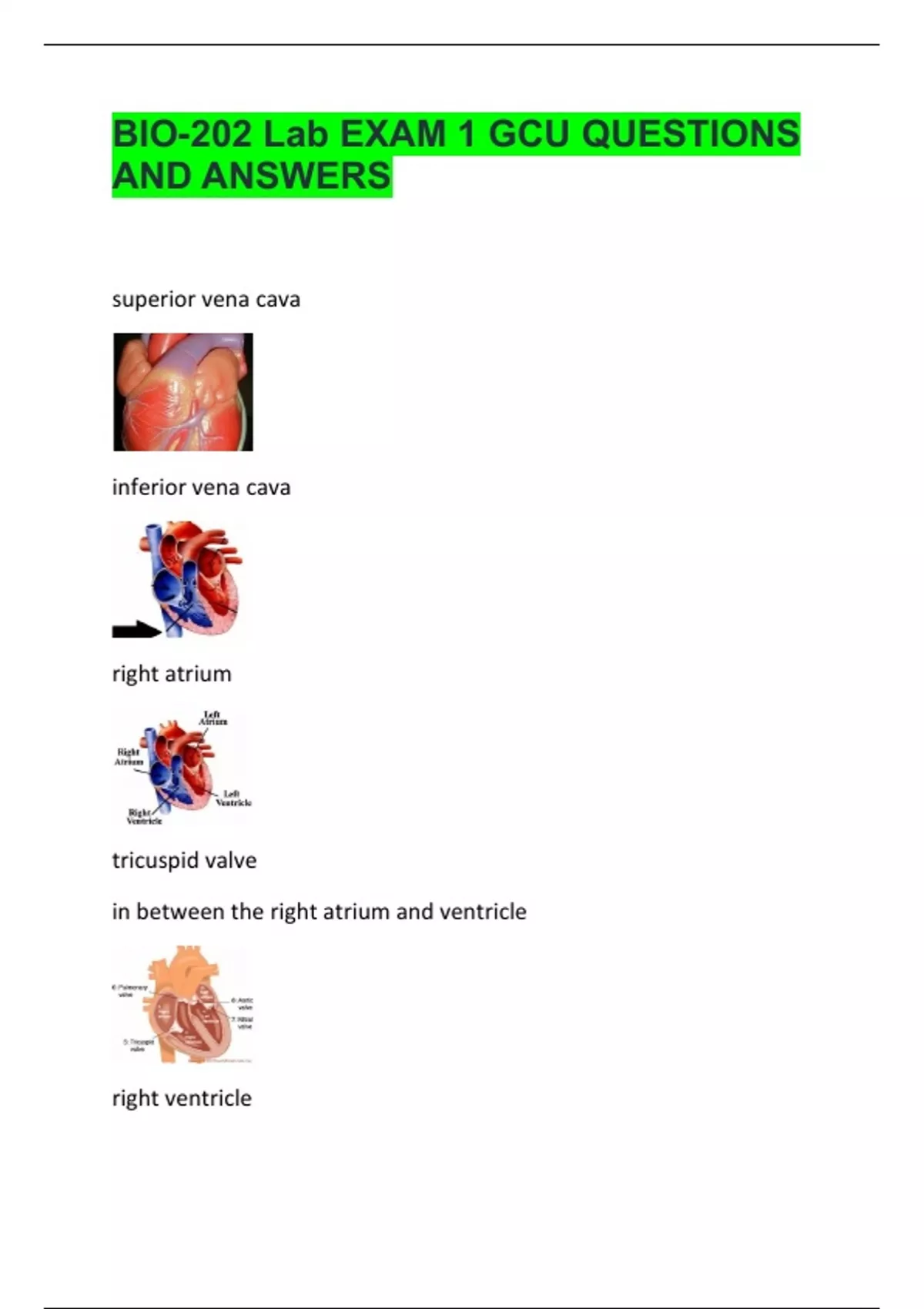 BIO-202 Lab EXAM 1 GCU QUESTIONS AND ANSWERS - BIO 202 GCU - Stuvia US