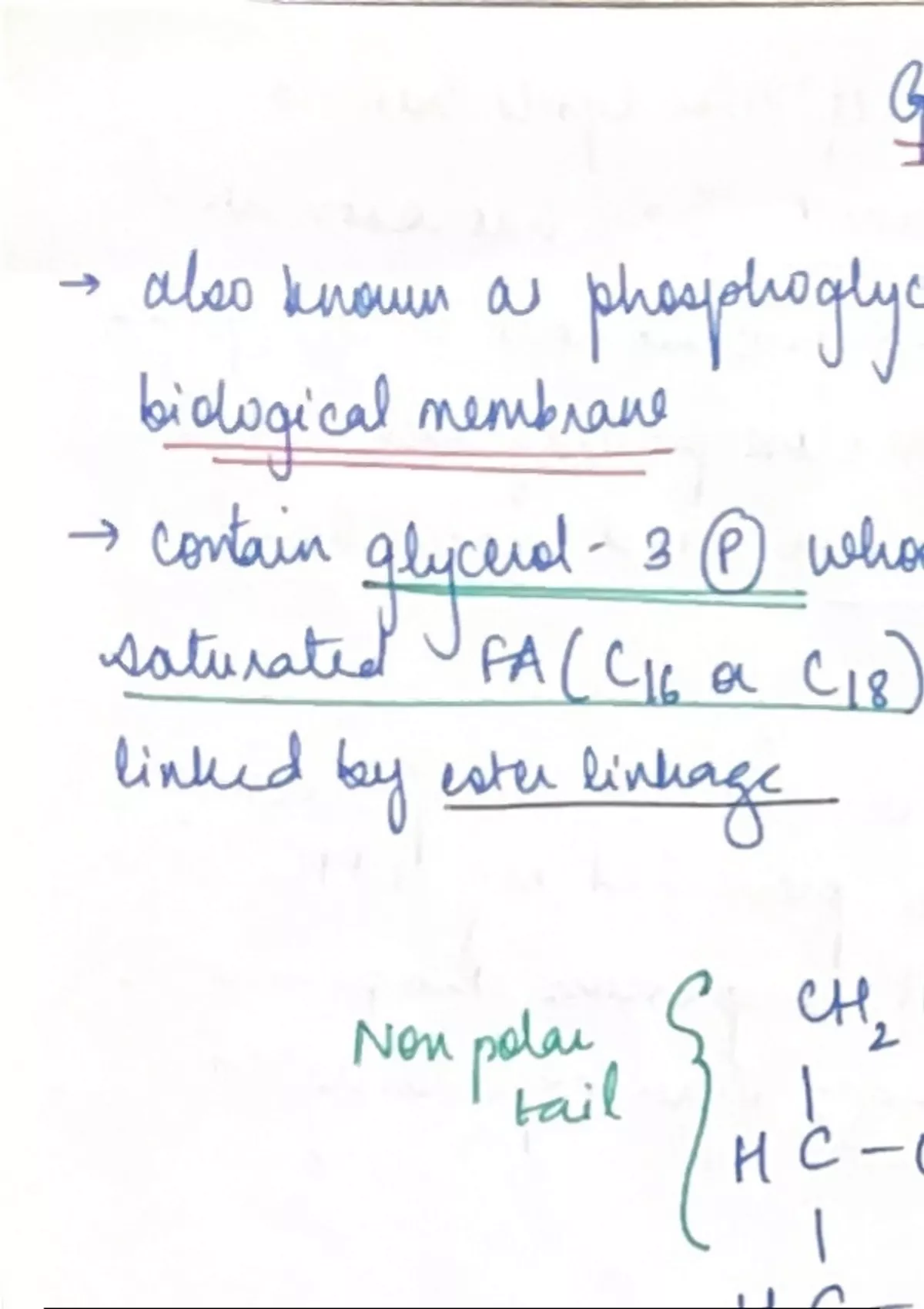 Classification of phospholipids and sphingolipids and disorders ...
