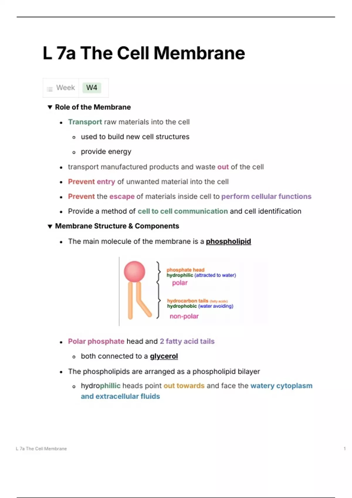 Biology - Biochem - Cell Membrane and Fluid Mosaic Model - SBI4U - Stuvia